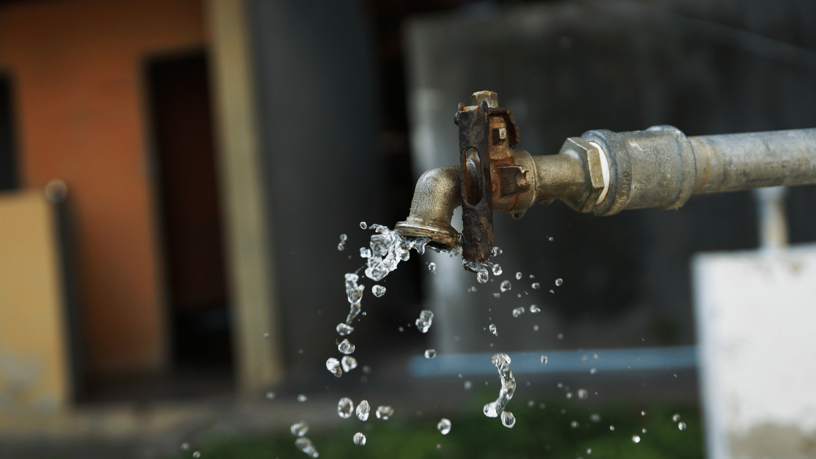 Signs That Your Water Lines Need Immediate Attention